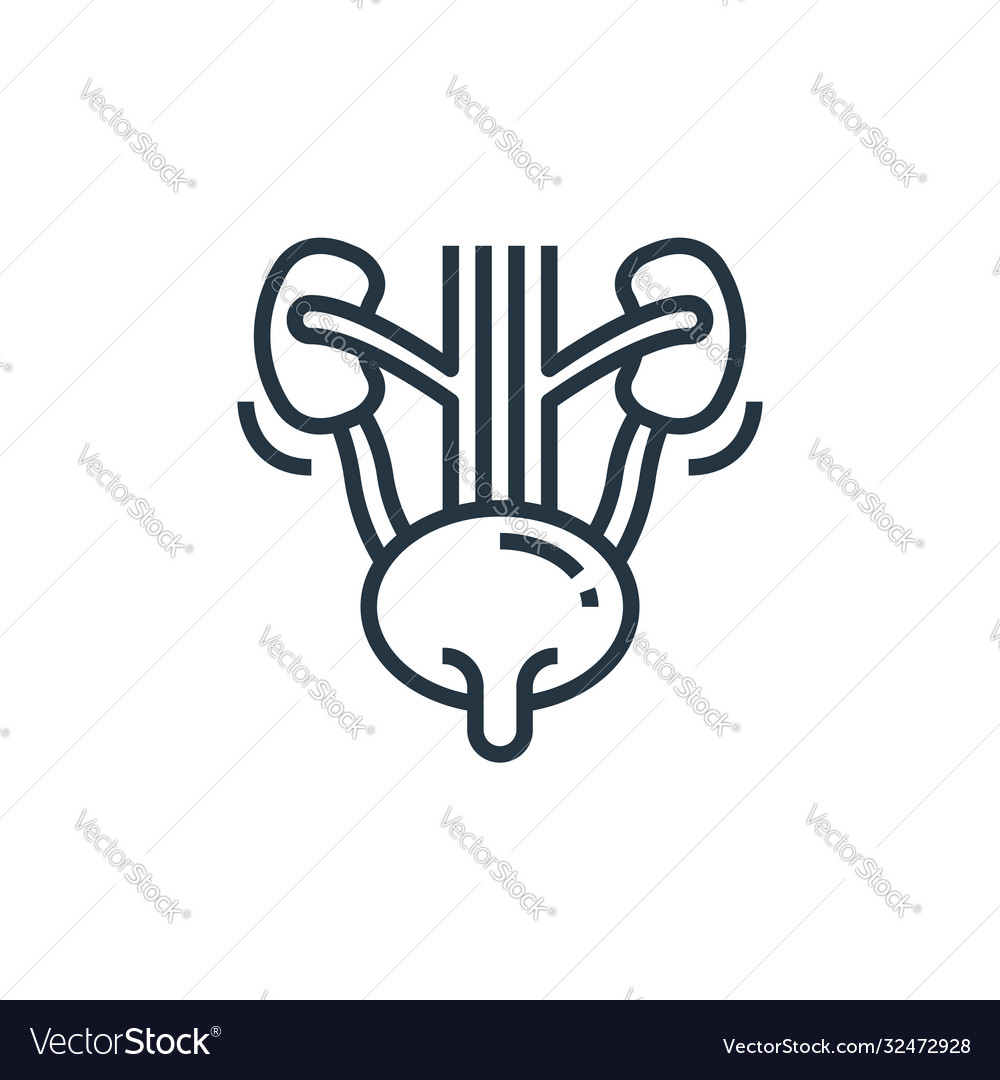 Urinary icon editable stroke Royalty Free Vector Image