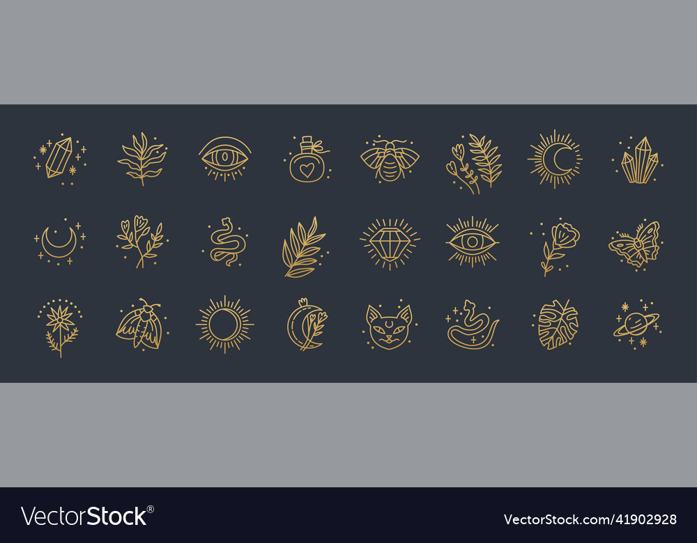 Witch magic design elements set witchcraft Vector Image