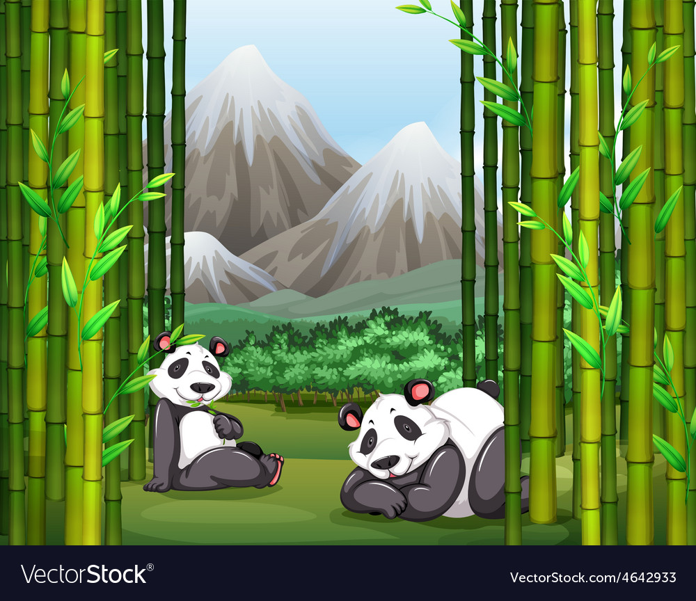 Panda Royalty Free Vector Image - VectorStock