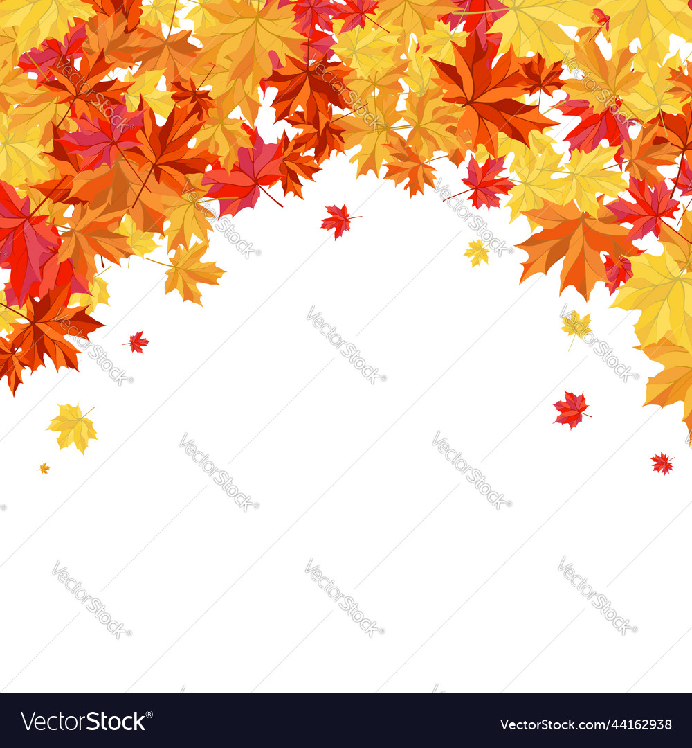 Autumn maple frame Royalty Free Vector Image - VectorStock
