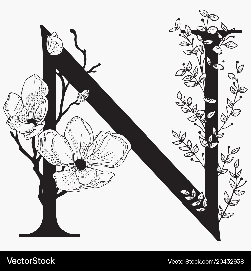 Hand drawn floral uppercase n monogram and Vector Image