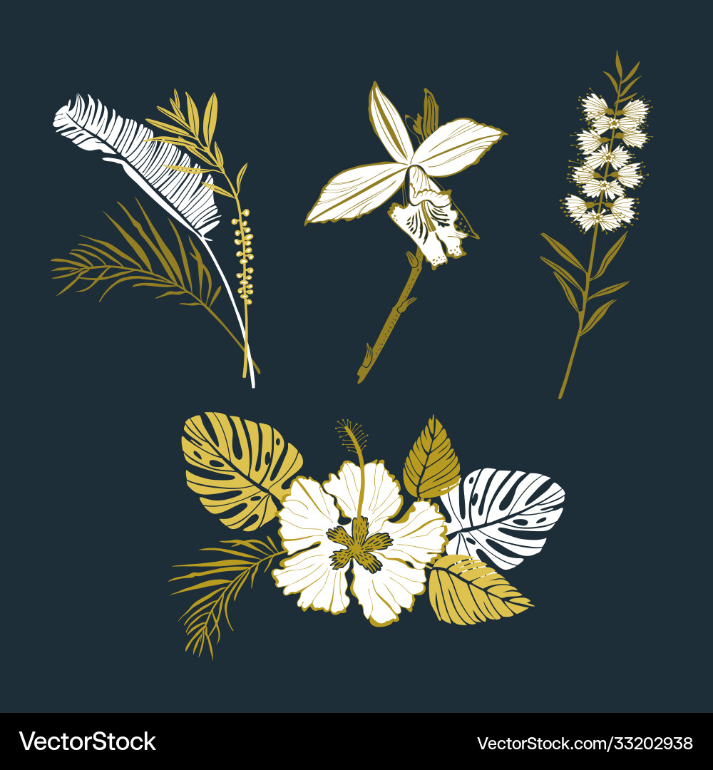 Tropical flowers and leaves Royalty Free Vector Image