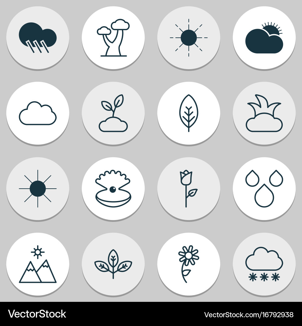 World icons set collection of tree leaf cloud Vector Image