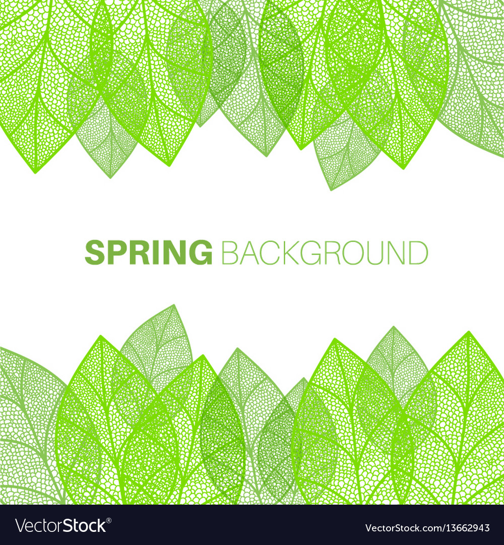 Spring leaves background Royalty Free Vector Image