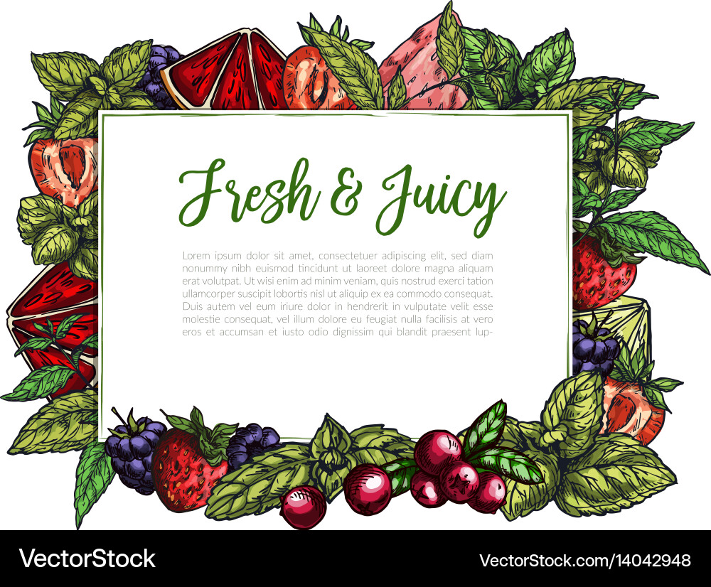 Colorful realistic frame composed of berries Vector Image
