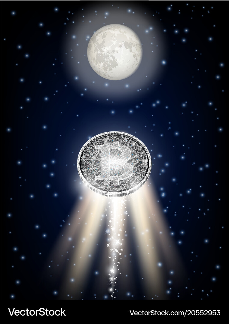 Bitcoin flying to the moon like space rocket Vector Image
