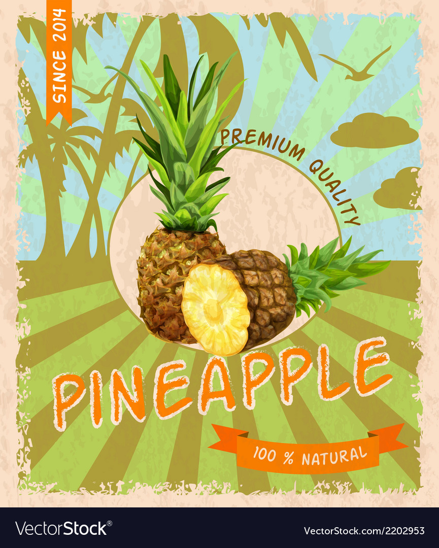 Pineapple retro poster Royalty Free Vector Image