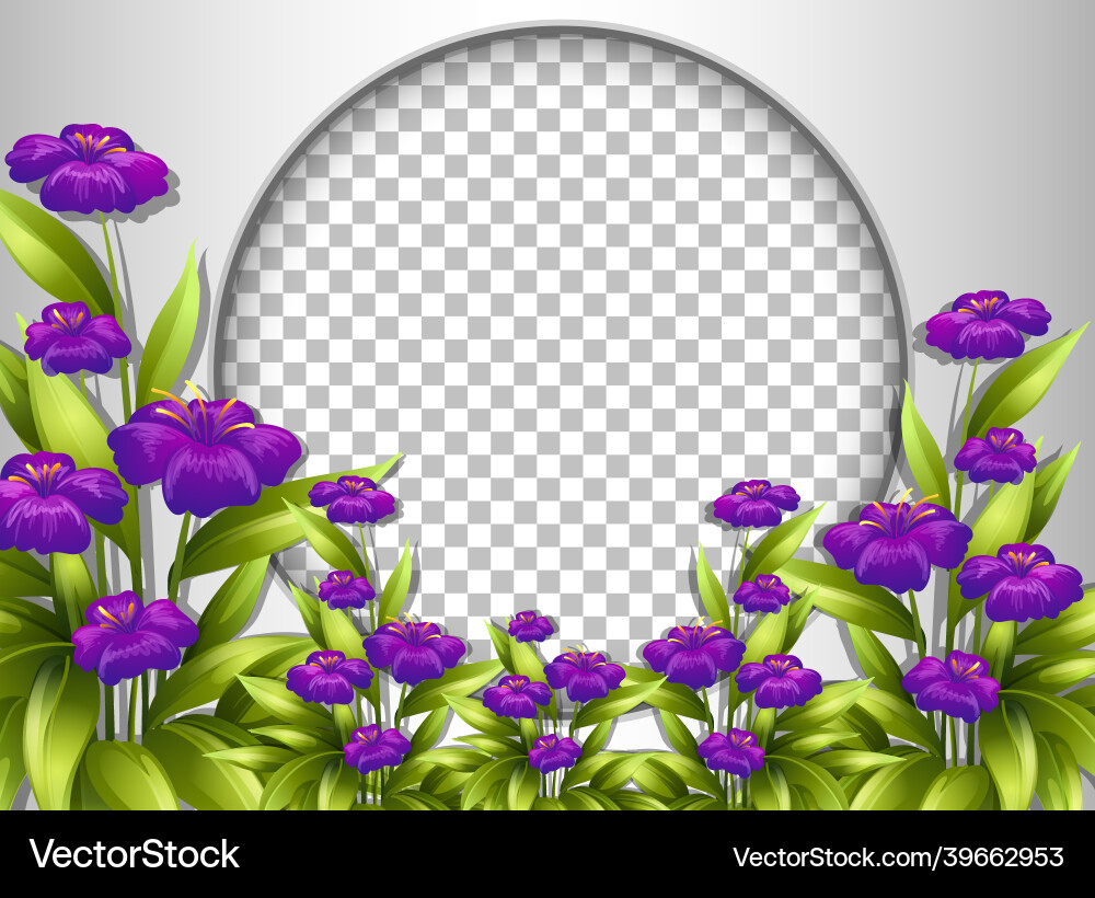 Round frame transparent with purple flowers Vector Image
