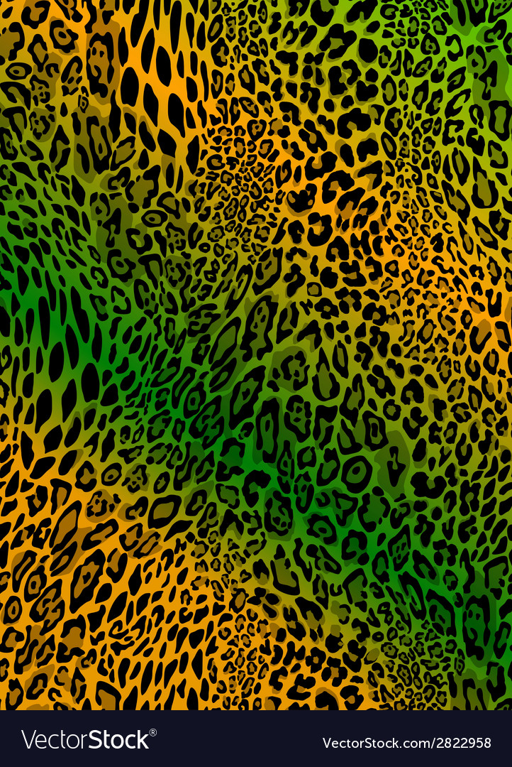 Seamless leopard pattern Royalty Free Vector Image