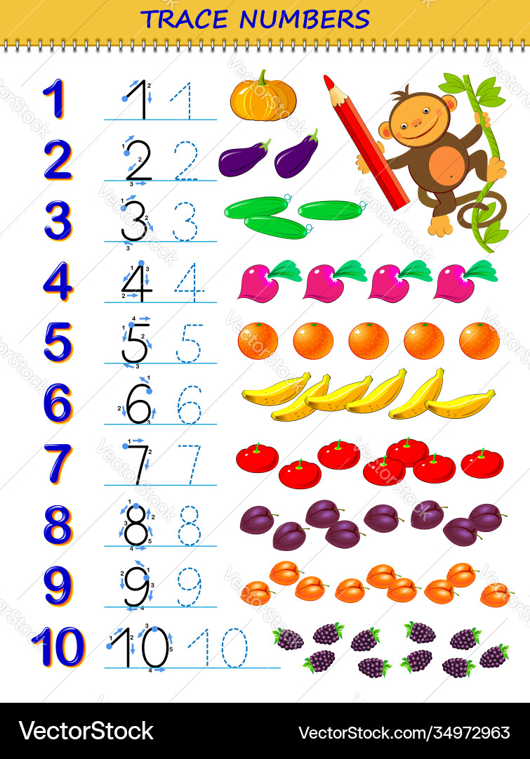 Educational page for kids with numbers from 1 Vector Image