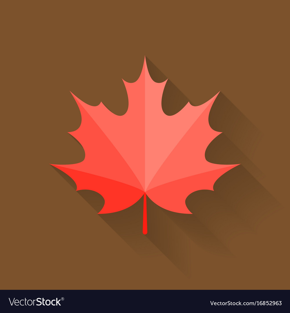 Maple leaf Royalty Free Vector Image - VectorStock