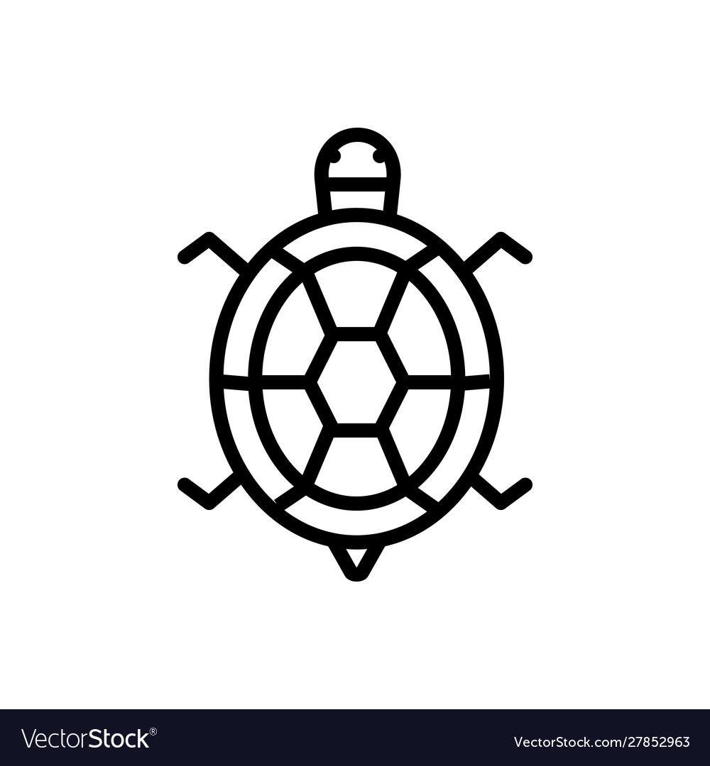 Turtle Royalty Free Vector Image - VectorStock