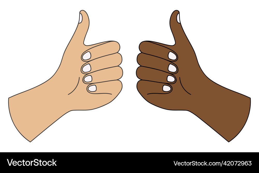 White and black hands showing thumbs up gesture Vector Image