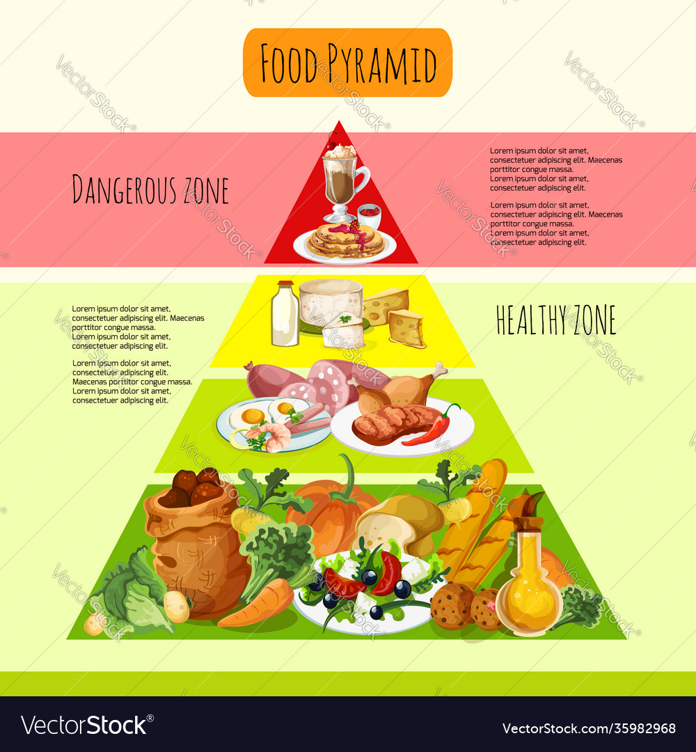 Food pyramid concept Royalty Free Vector Image
