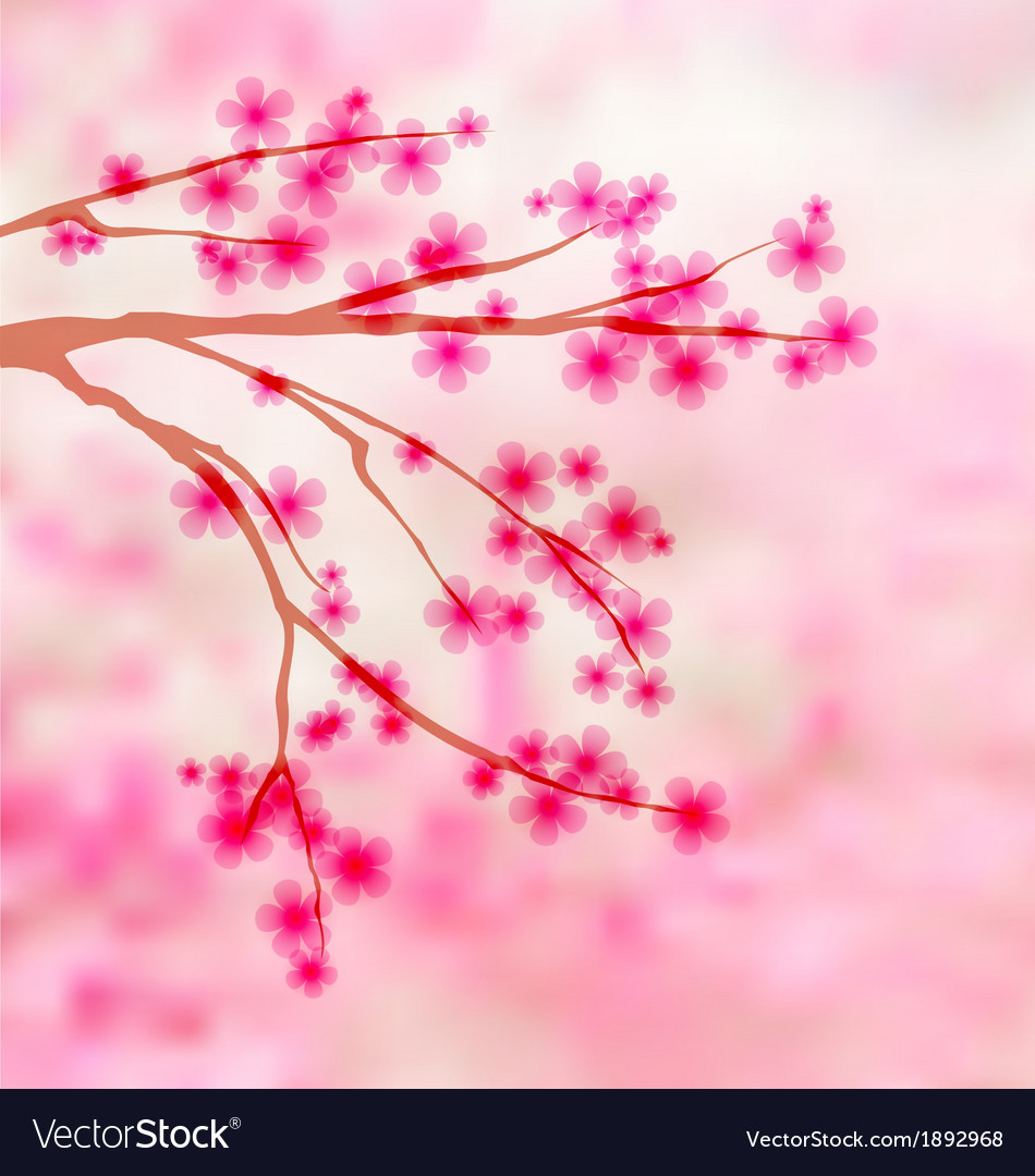 Sakura Royalty Free Vector Image - VectorStock