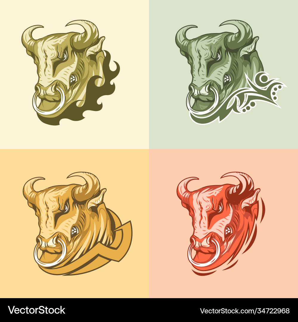 Set four pictures bull on different backgrounds Vector Image
