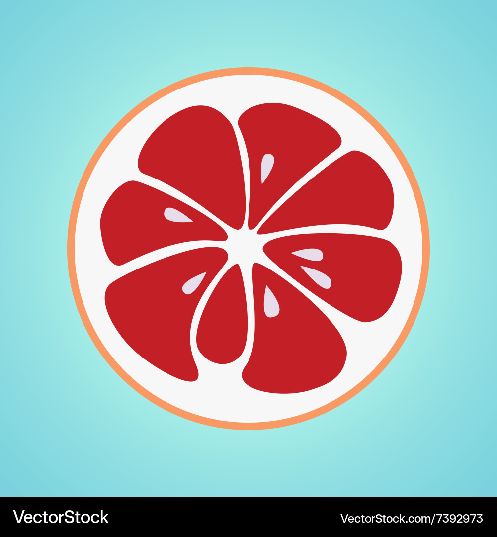 Grapefruit stylish icon retro juicy fruit logo Vector Image