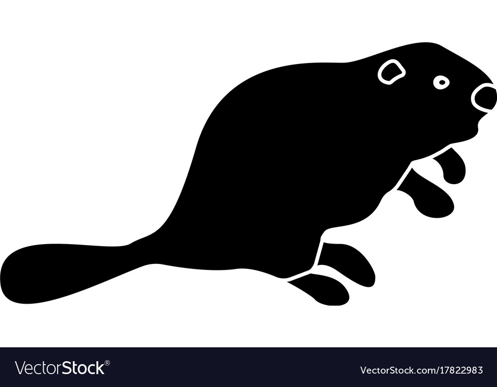 Beaver Royalty Free Vector Image - VectorStock