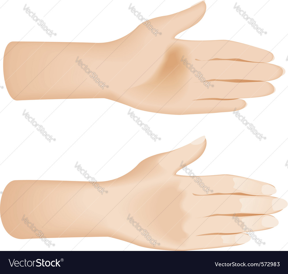 Open hands Royalty Free Vector Image - VectorStock