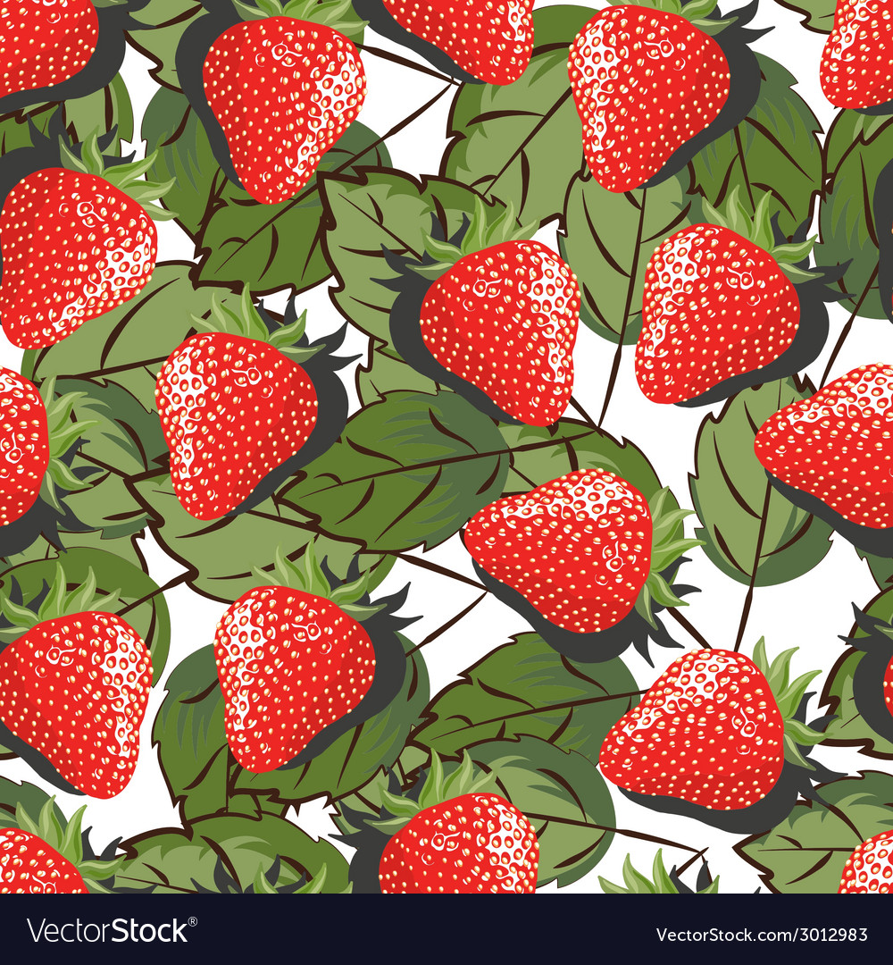 Strawberry Royalty Free Vector Image - VectorStock