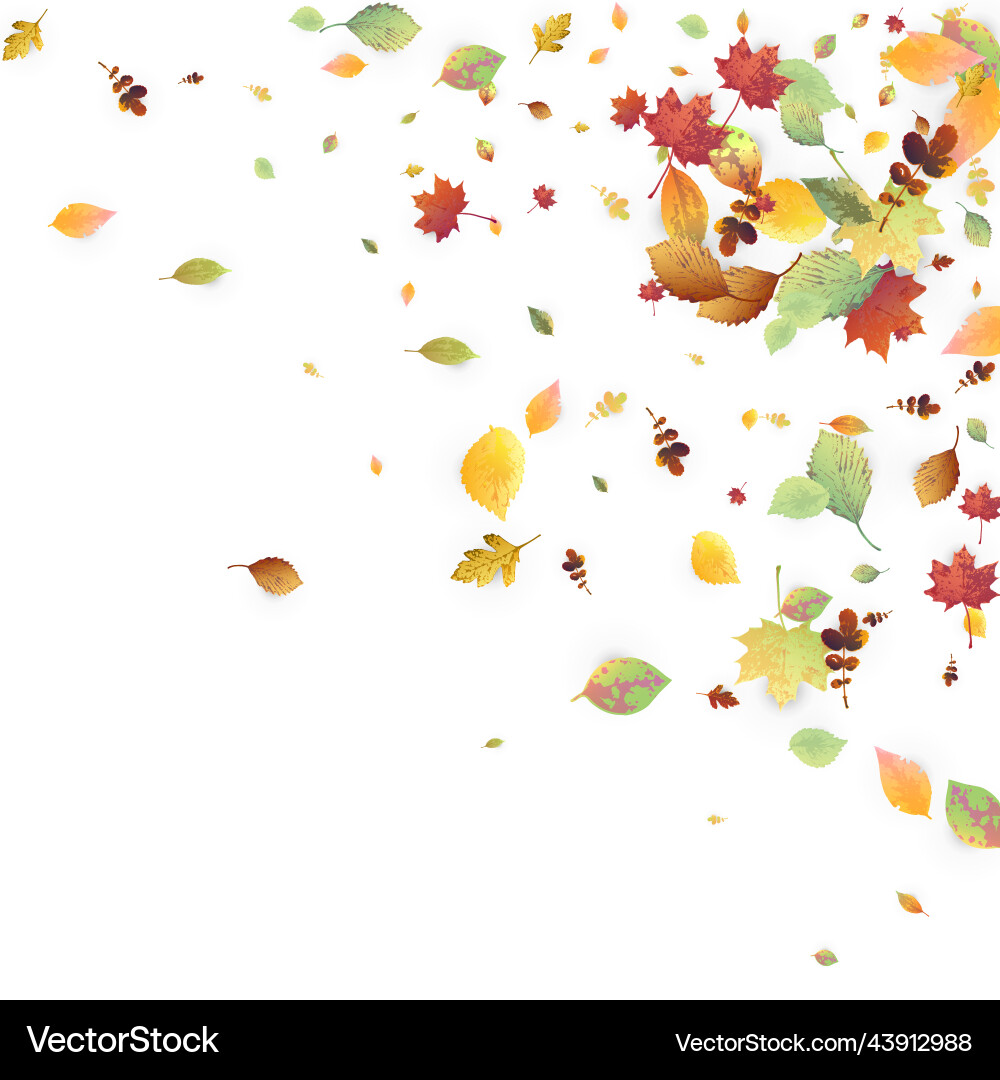 Leaves falling autumn foliage chaotic leaf flying Vector Image