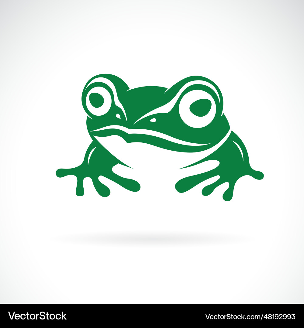 Frog design on a white background amphibian Vector Image