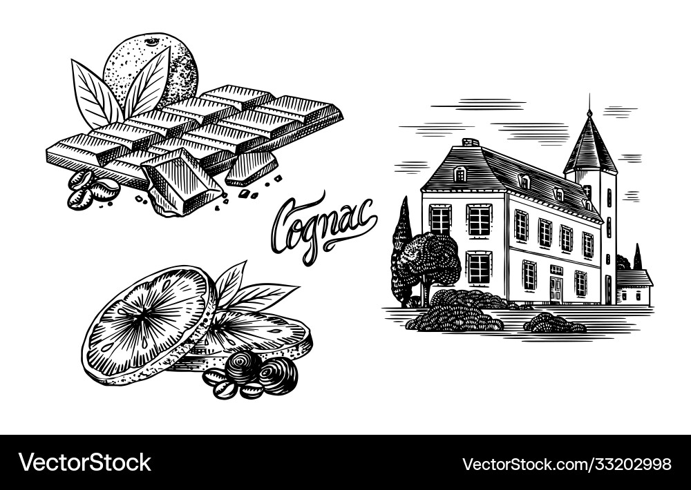 Alcohol production plant cognac castle chocolate Vector Image