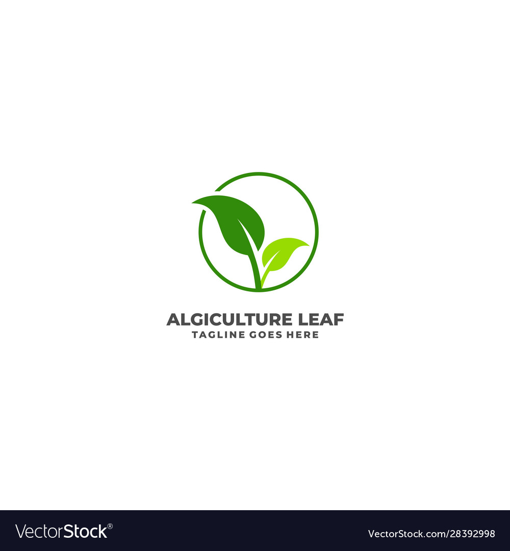 Leaf template Royalty Free Vector Image - VectorStock