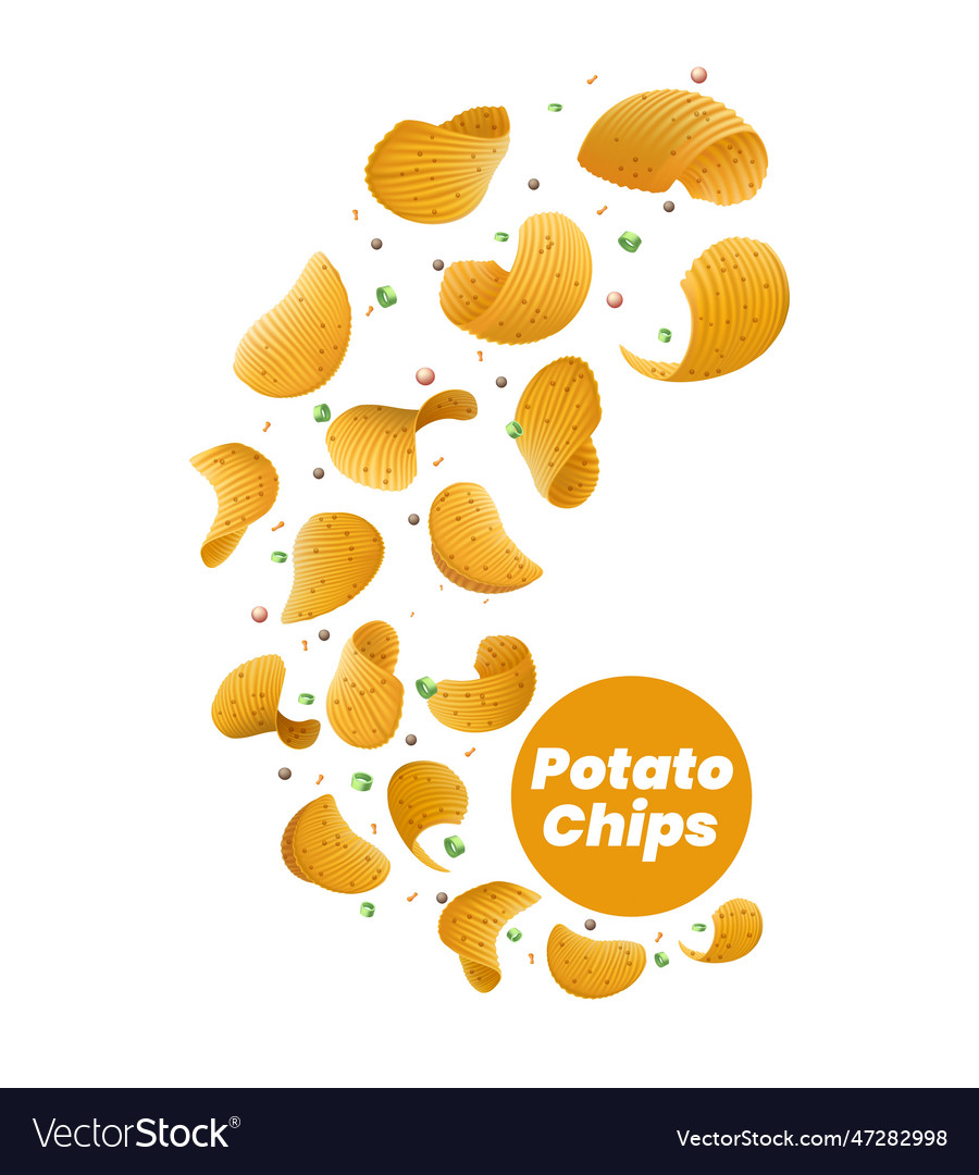 Potato chips splash Royalty Free Vector Image - VectorStock