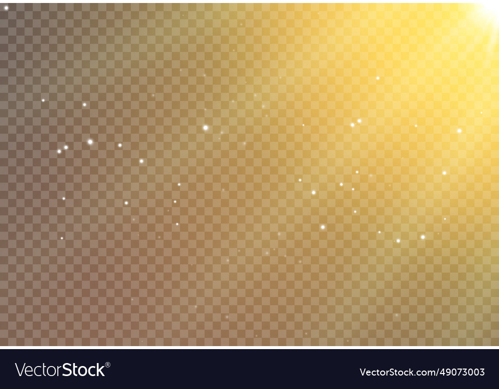 Sun light flare background effect sunlight ray Vector Image