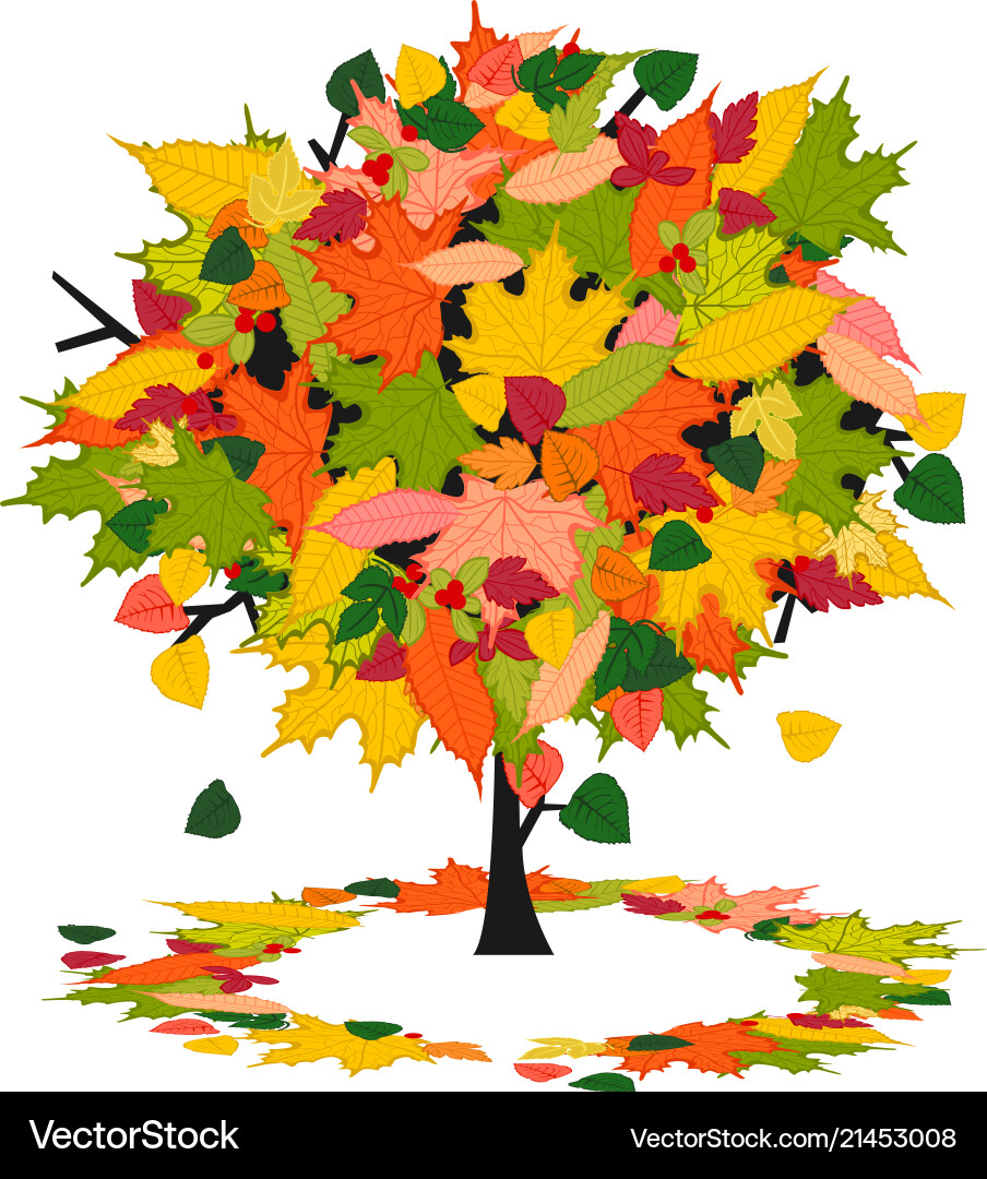 Autumn tree with colorful leaves Royalty Free Vector Image