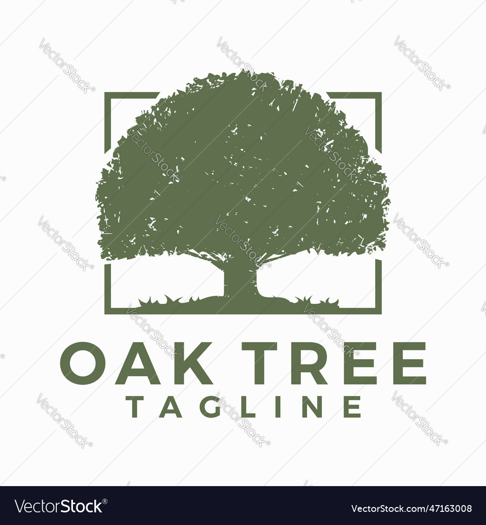Oak tree template Royalty Free Vector Image - VectorStock