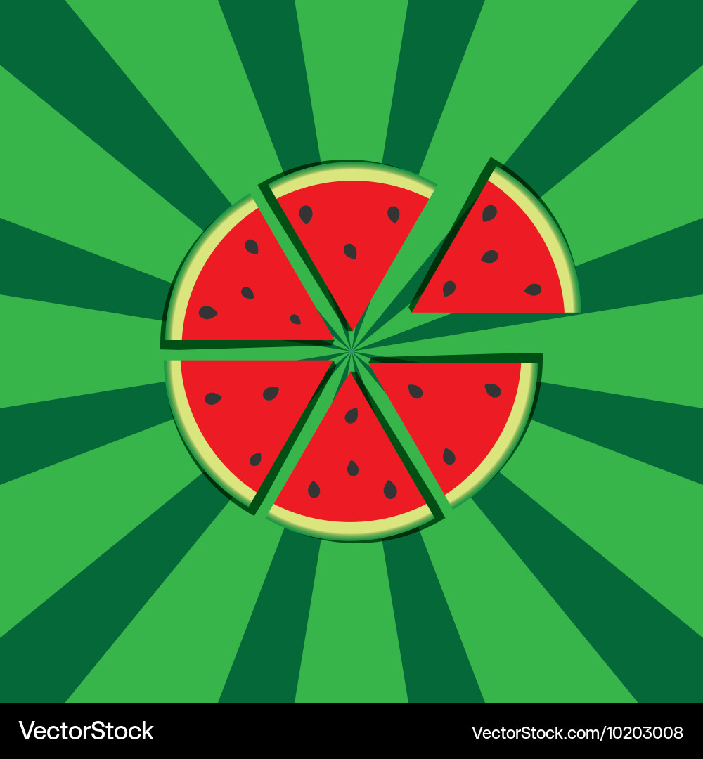 Slices of watermelon Royalty Free Vector Image