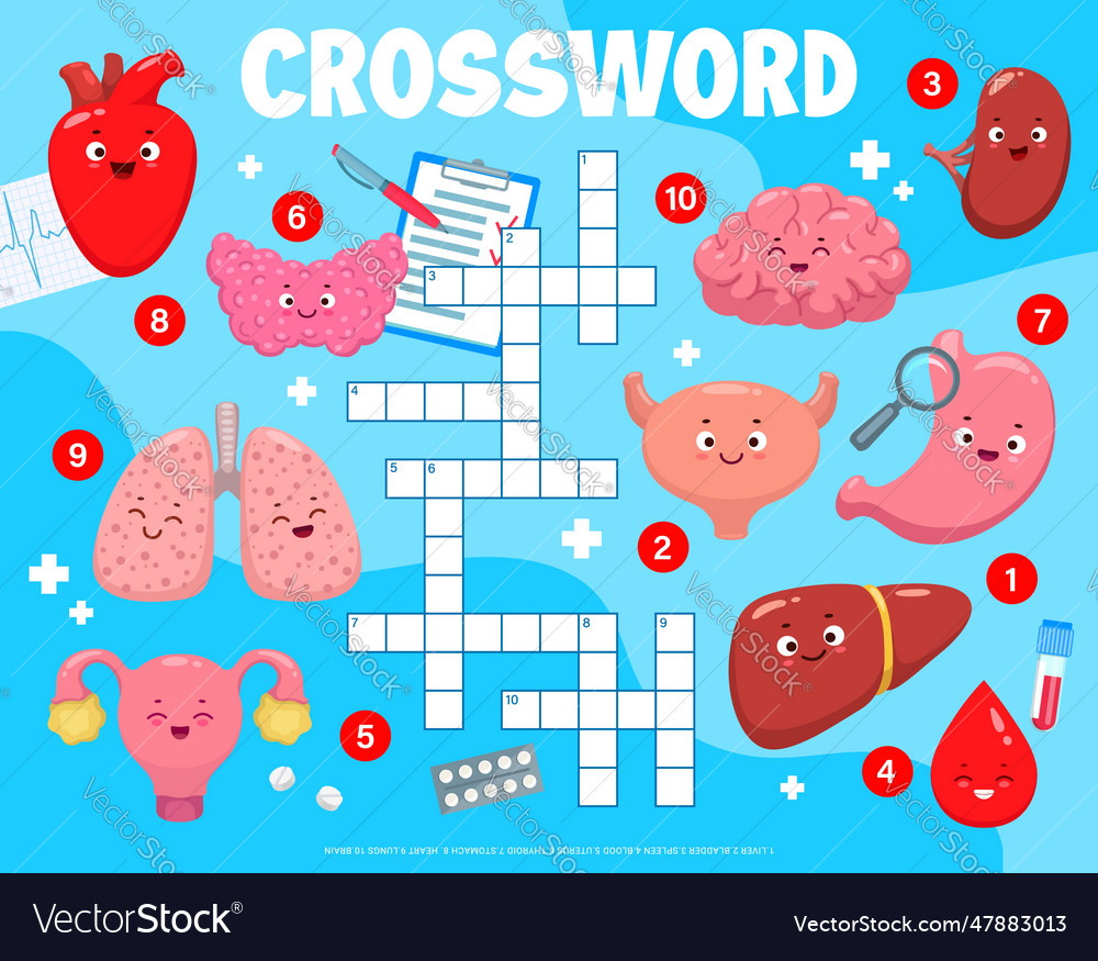Crossword quiz game grid with cartoon body organs Vector Image