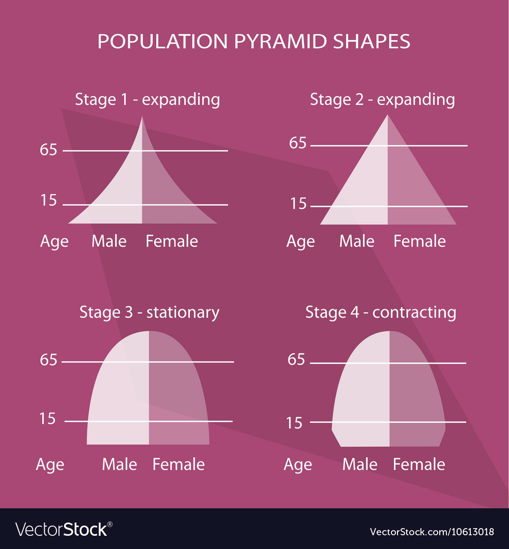 Four Different Types Population Pyramids Charts Vector Image