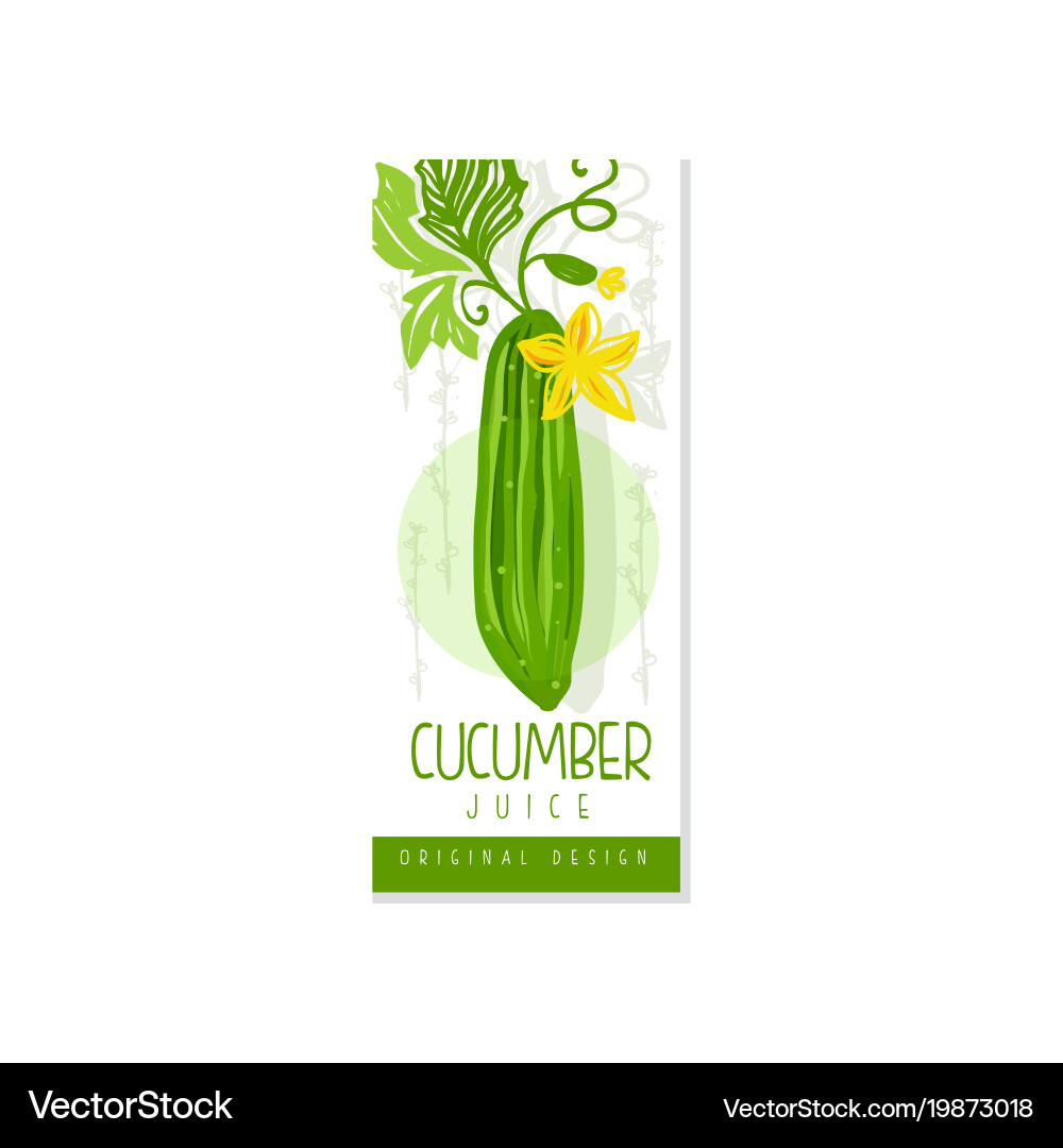 Original juice label with green cucumber Vector Image