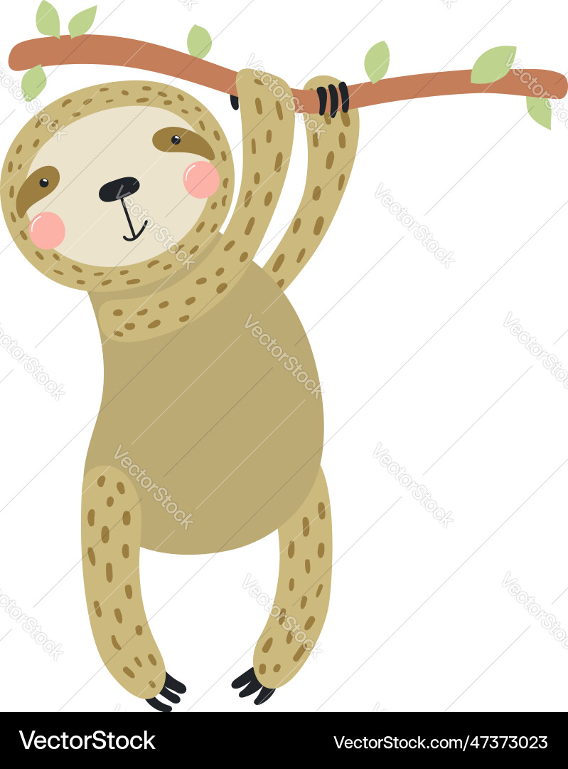 Cute funny sloth cartoon character Royalty Free Vector Image