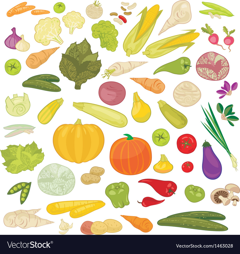 Vegetables set Royalty Free Vector Image - VectorStock