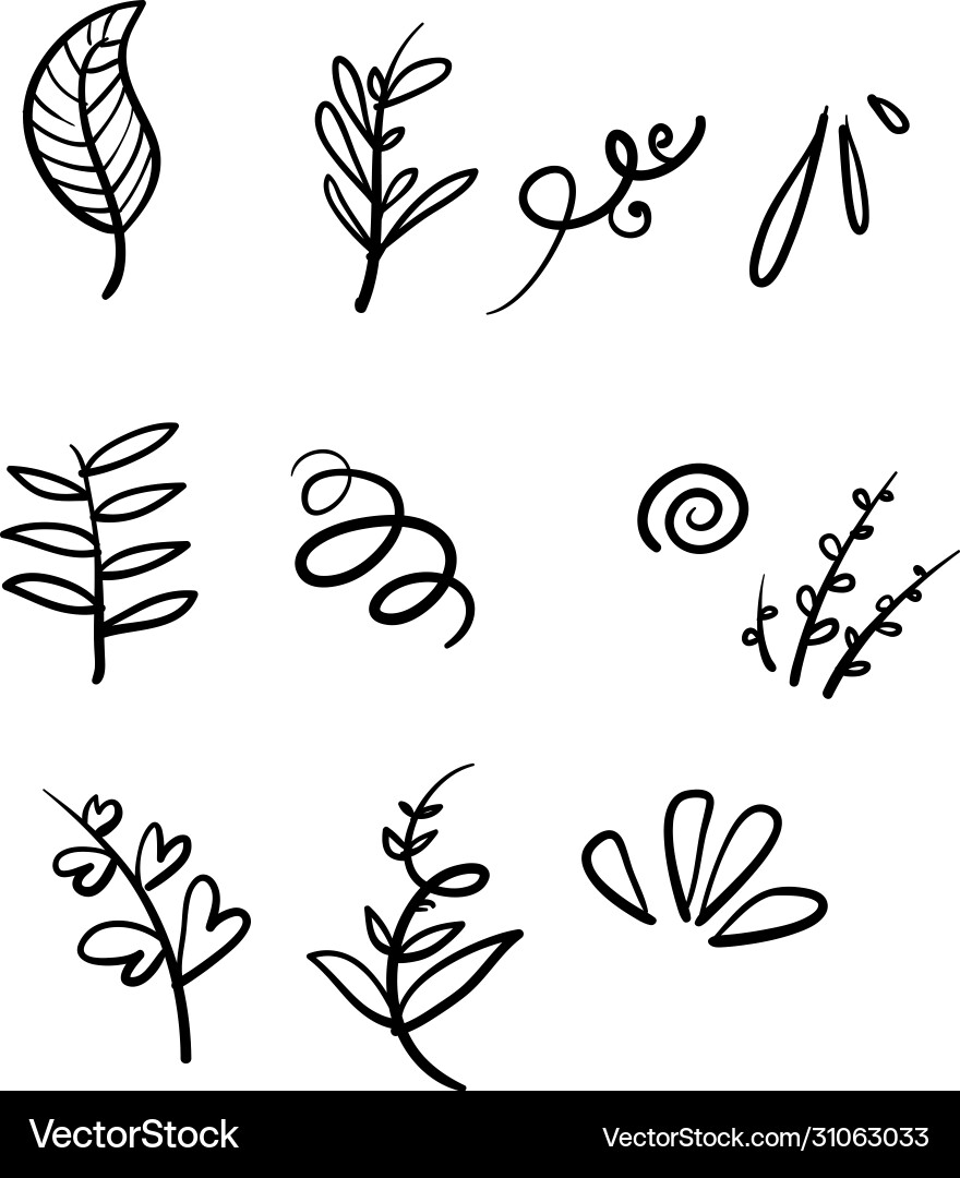 Hand drawn branch and leaves set with doodle Vector Image