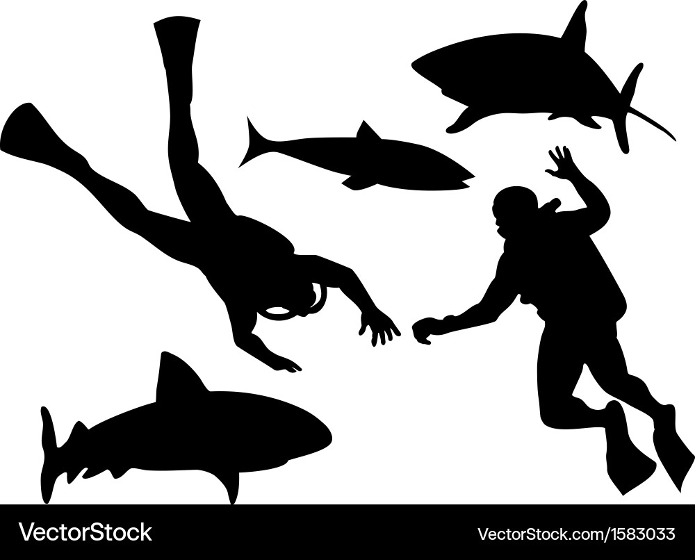 Scuba Divers and Sharks Silhouette Royalty Free Vector Image