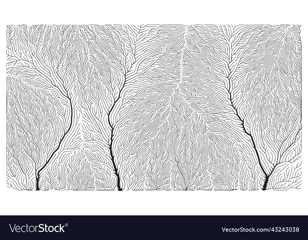 Growth pattern generative branching structure Vector Image