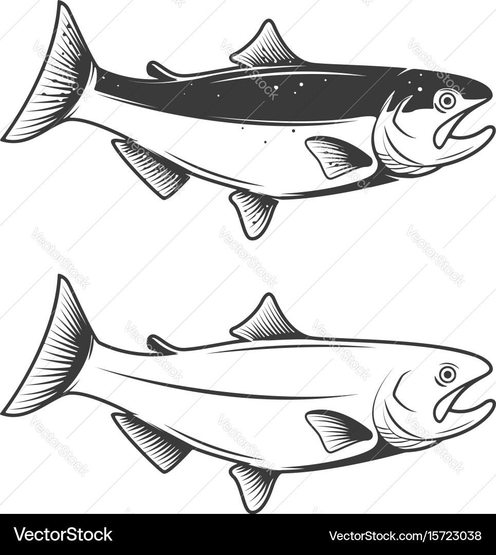 Trout fish icons isolated on white background Vector Image