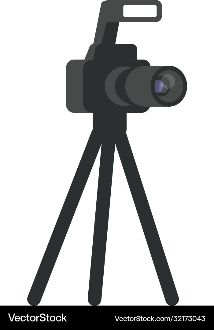 Dslr camera semi flat rgb color Royalty Free Vector Image
