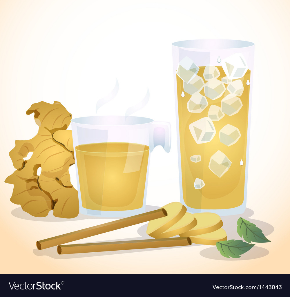 Ginger Royalty Free Vector Image - VectorStock