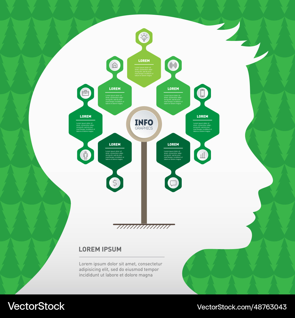 Mindmap of development and growth the business Vector Image