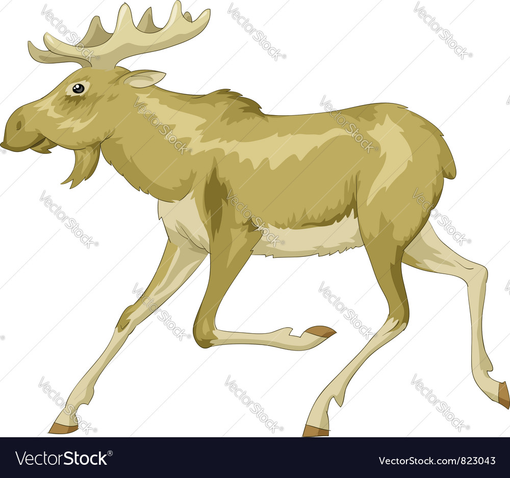 Moose Royalty Free Vector Image - VectorStock