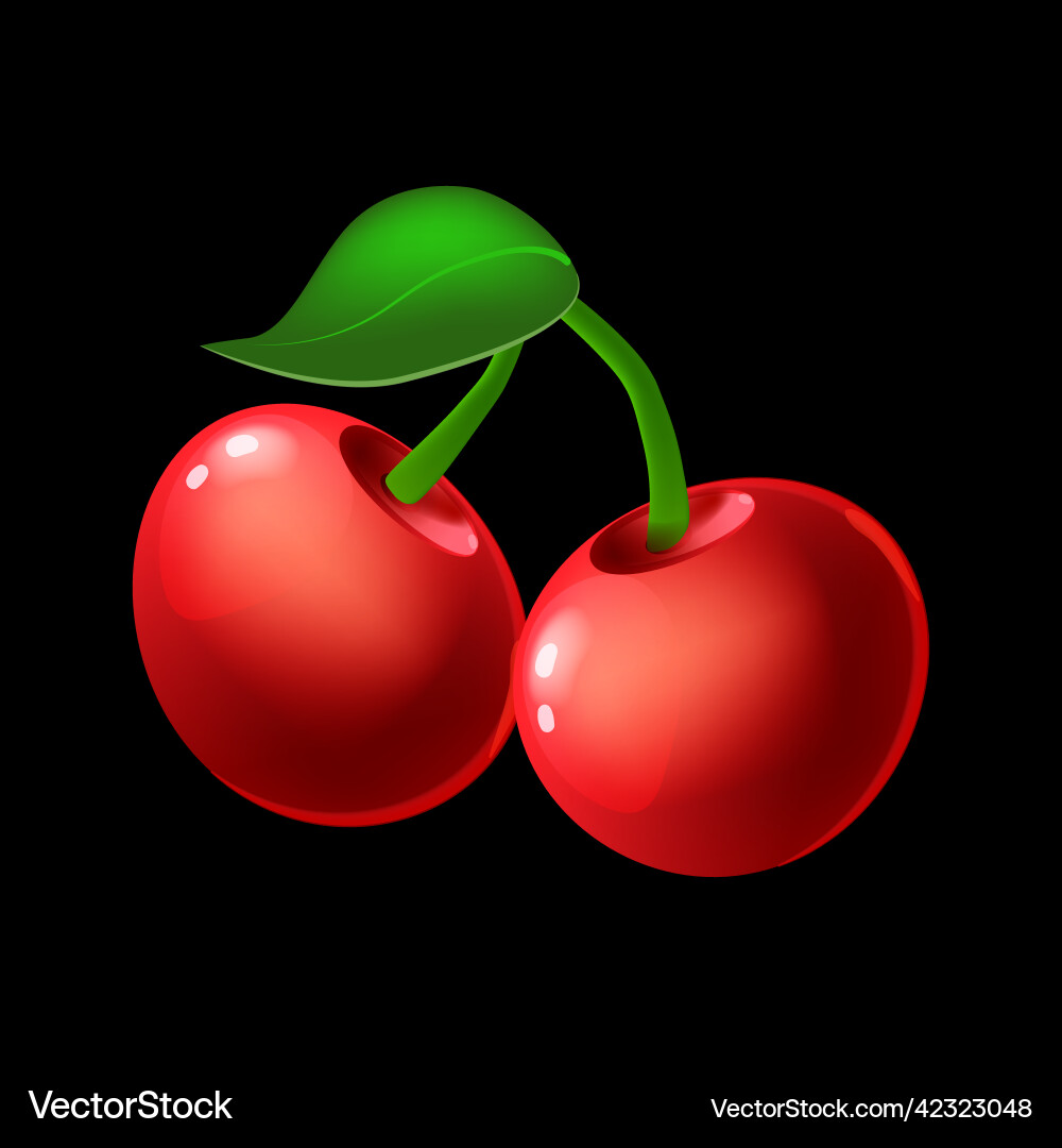 Cherry ripe berry fruit whole fresh red color Vector Image