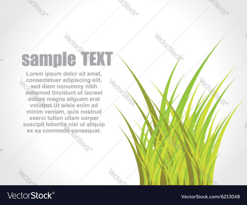 Grass background Royalty Free Vector Image - VectorStock