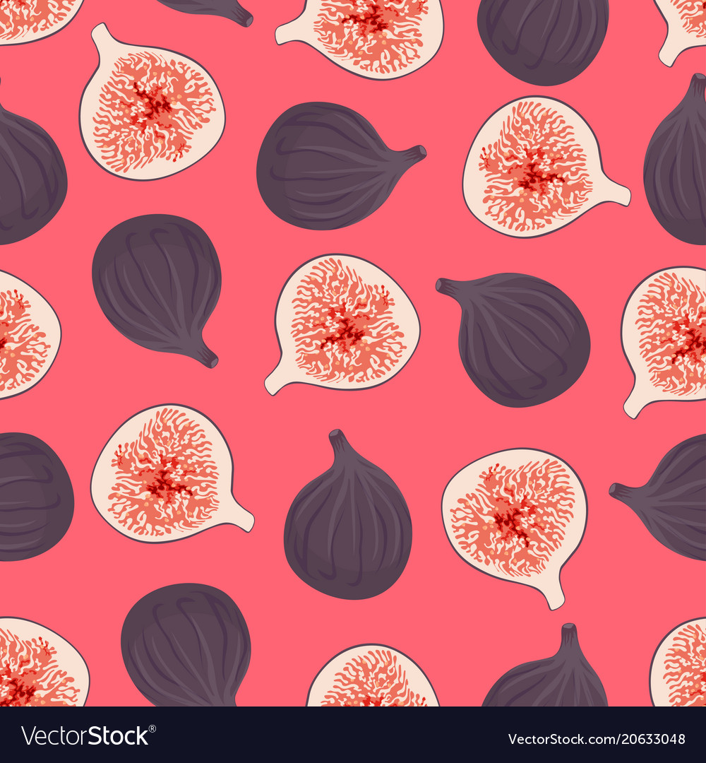 Pattern with fig 1 Royalty Free Vector Image - VectorStock