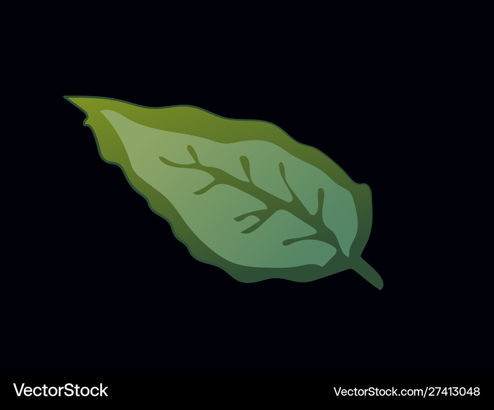Rose green leaf floral botanical flower Royalty Free Vector